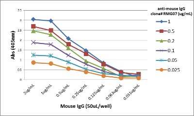 IgG Antibodies: Novus Biologicals